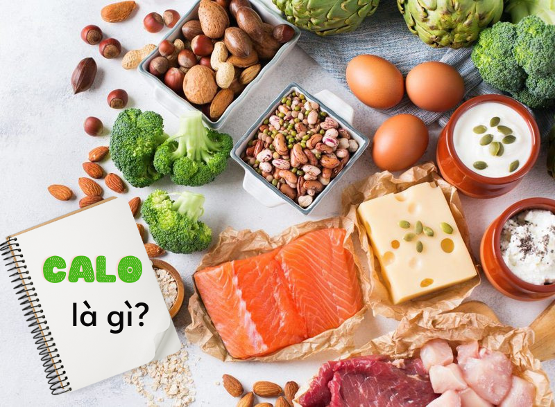 Calo là gì? Bảng tính Calo người giảm cân cần biết - Authentic Store